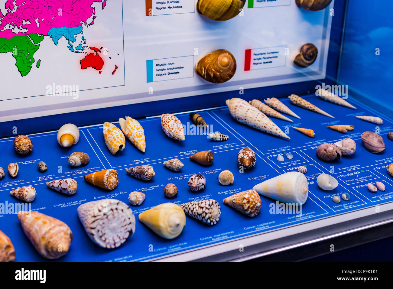 7 JUNE 2018, MILAN, ITALY: Expositions of history of the evolution and ...