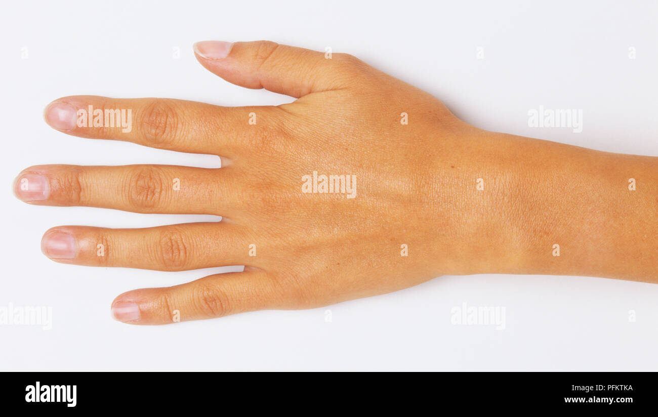 Close up shot humans hands hi-res stock photography and images - Alamy
