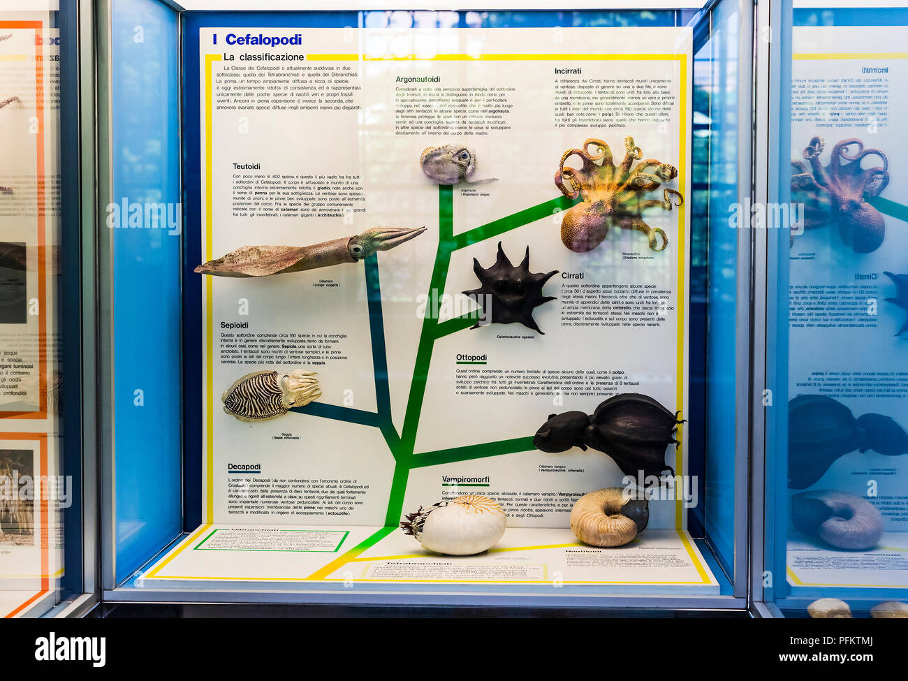7 JUNE 2018, MILAN, ITALY: Expositions of history of the evolution and ...
