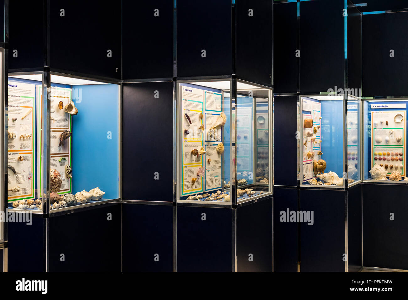 7 JUNE 2018, MILAN, ITALY: Expositions of history of the evolution and ...