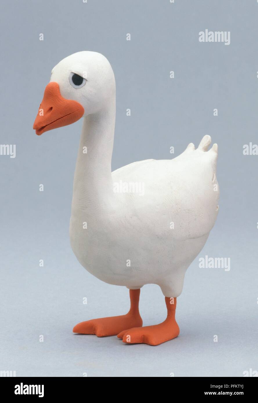 Bird modelling hi-res stock photography and images - Alamy