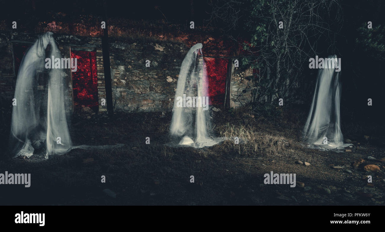 Ghost tree silhouette white hi-res stock photography and images - Alamy