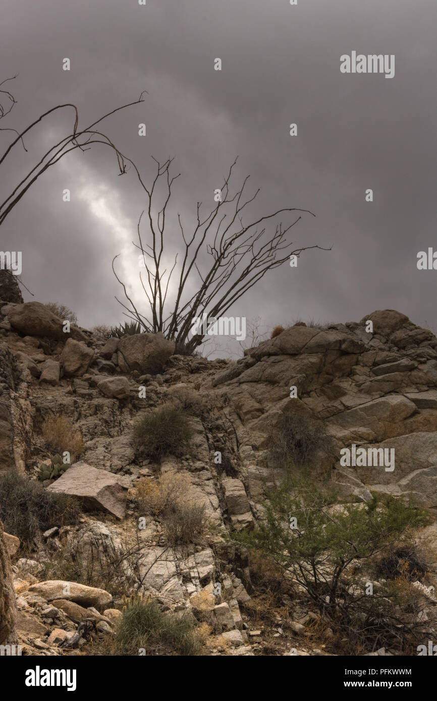 Rocky desert trail under dramatic thunder cloud sky, silhouette of ...