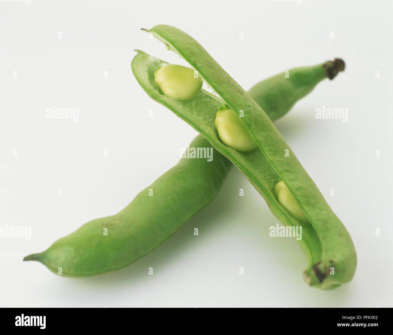 Broad bean pods vicia hi-res stock photography and images - Alamy