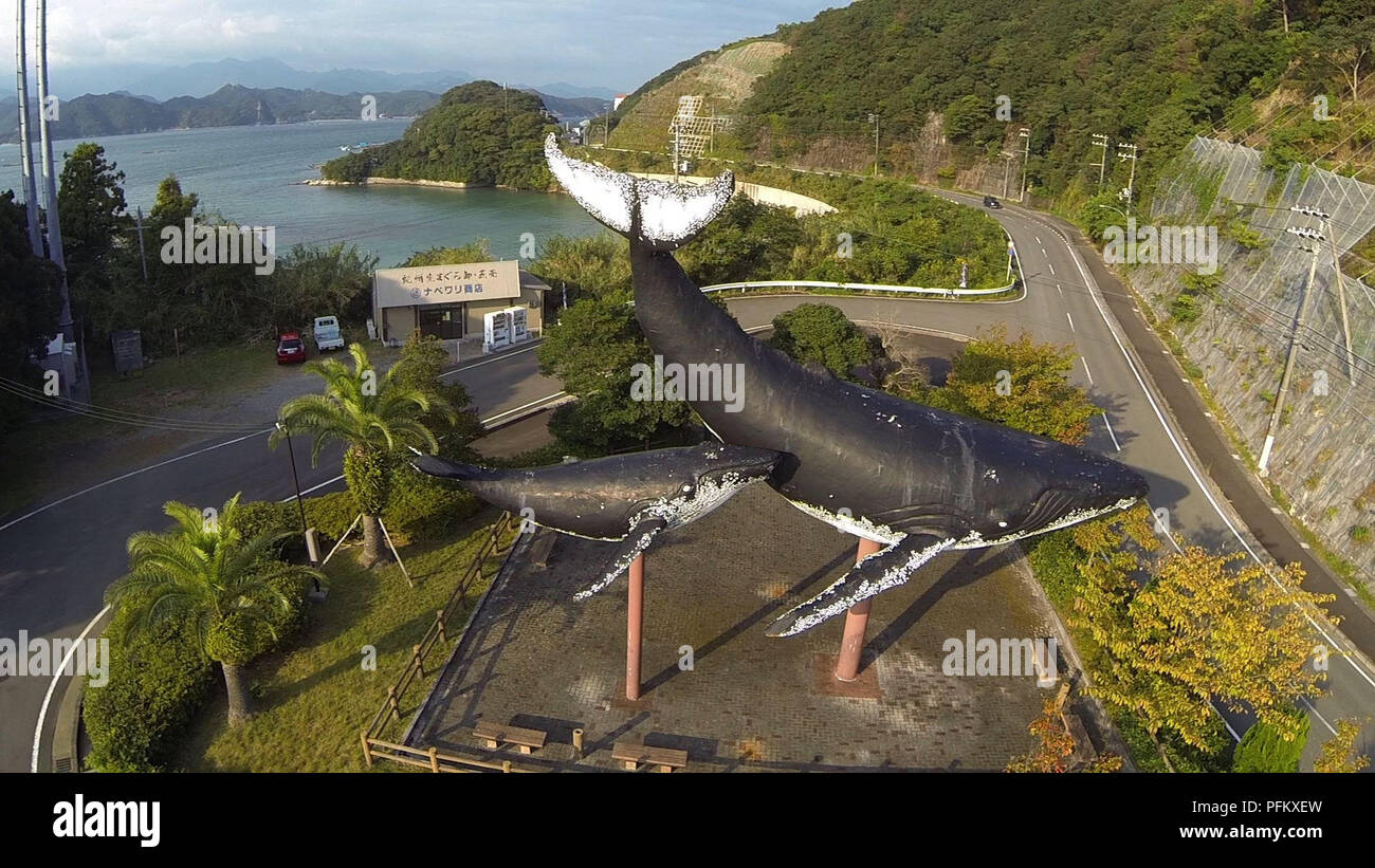 A WHALE OF A TALE, Entrance way to Taiji, 2016. © Fine Line Media ...