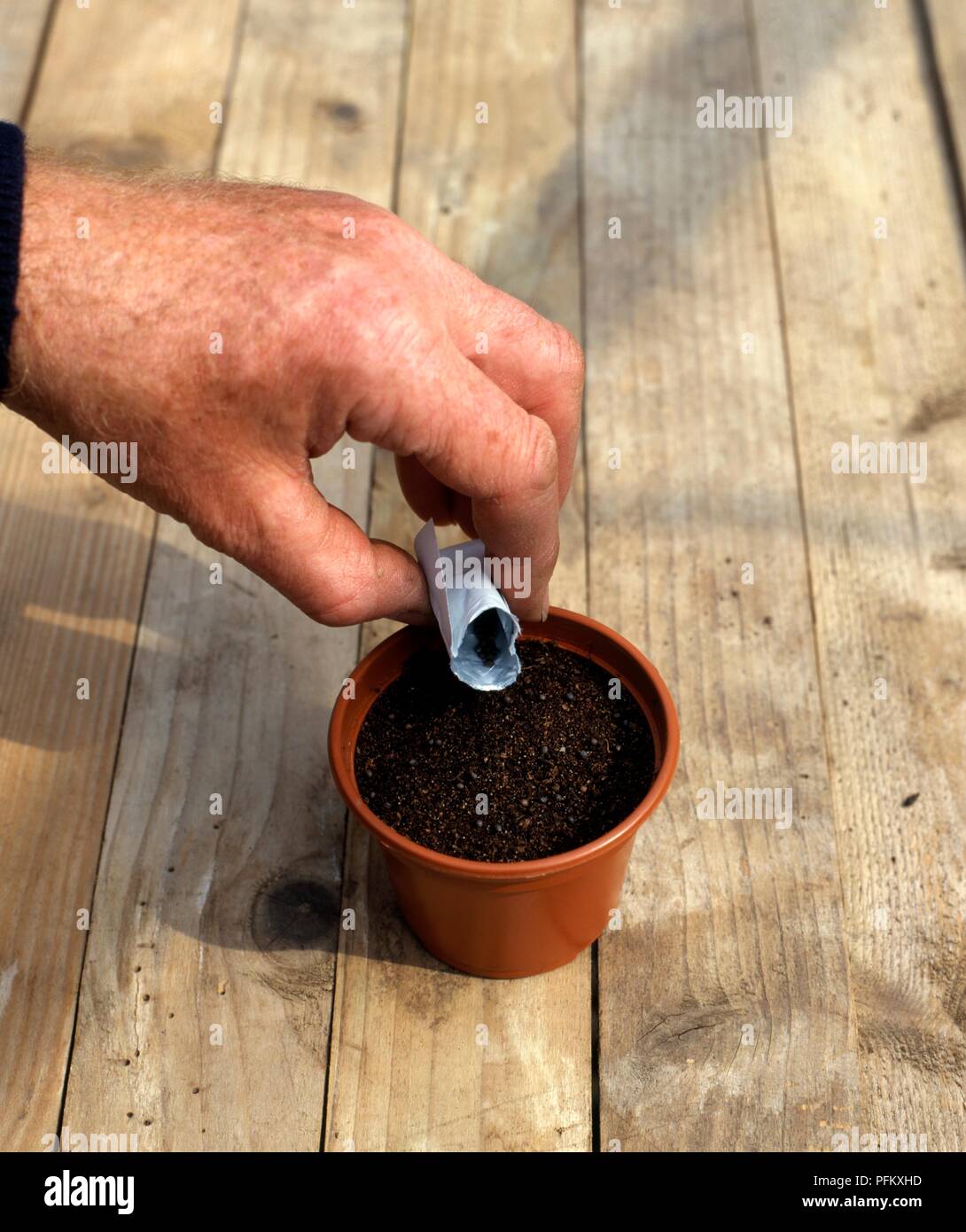 Scattering seed hi-res stock photography and images - Alamy