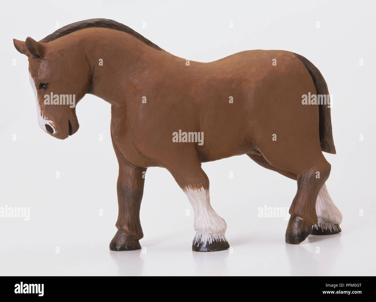 Horse walking profile hi-res stock photography and images - Alamy