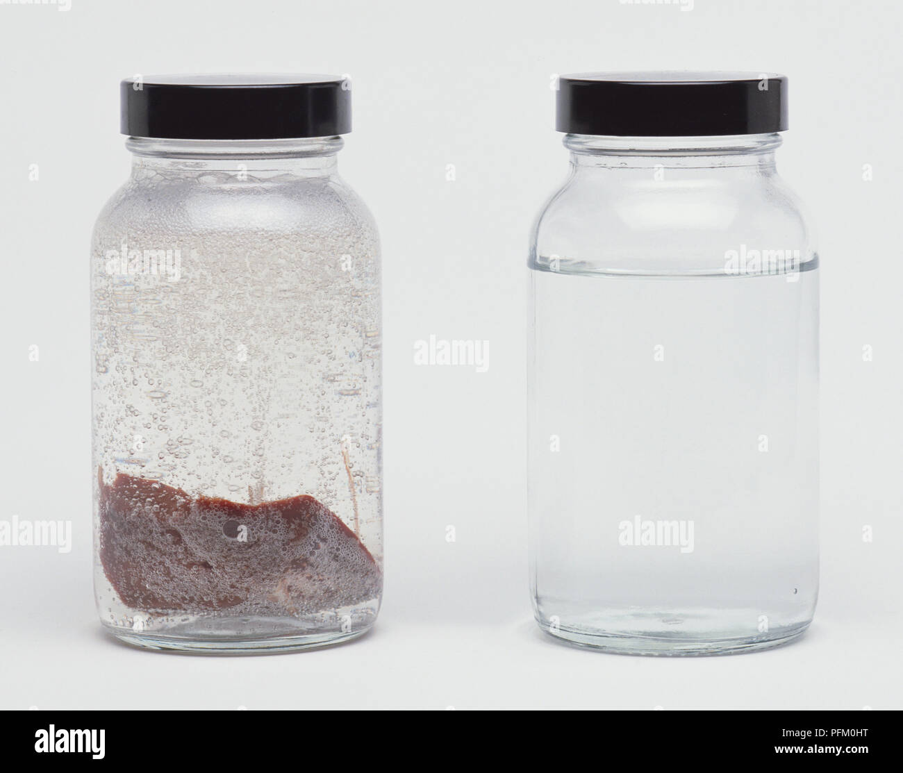 Clear jar of liver in liquid Stock Photo - Alamy