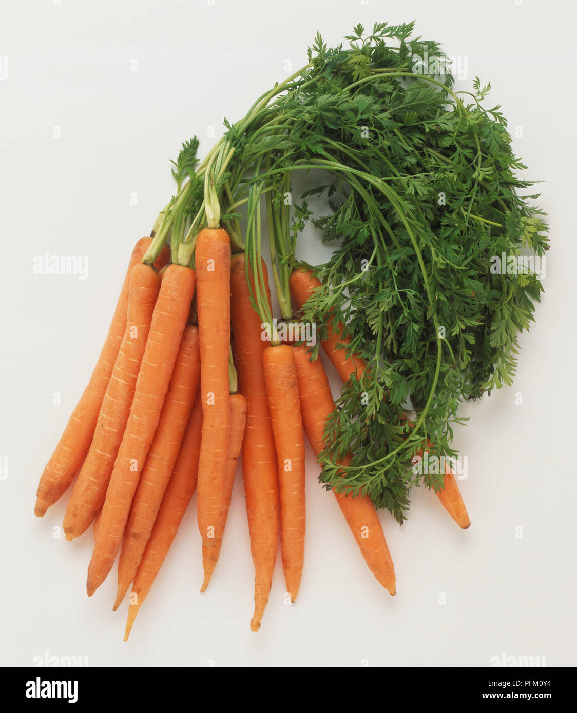 Bunch of carrots with green shoots Stock Photo - Alamy