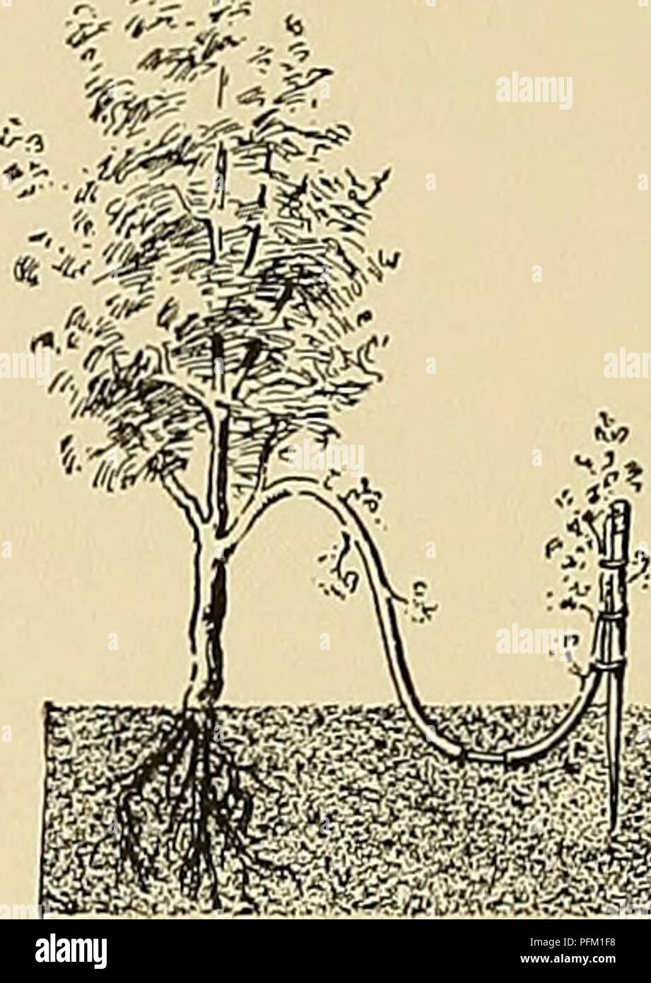 Simple layering hi-res stock photography and images - Alamy