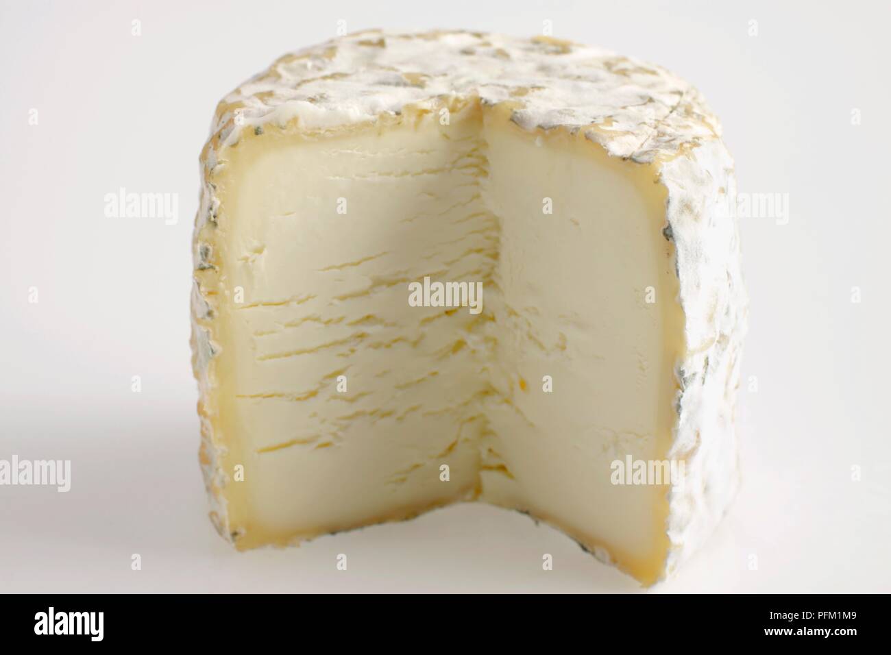 Cylinder of French Racotin goat's cheese Stock Photo - Alamy