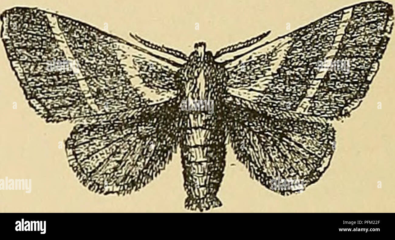 Three hatches hi-res stock photography and images - Alamy