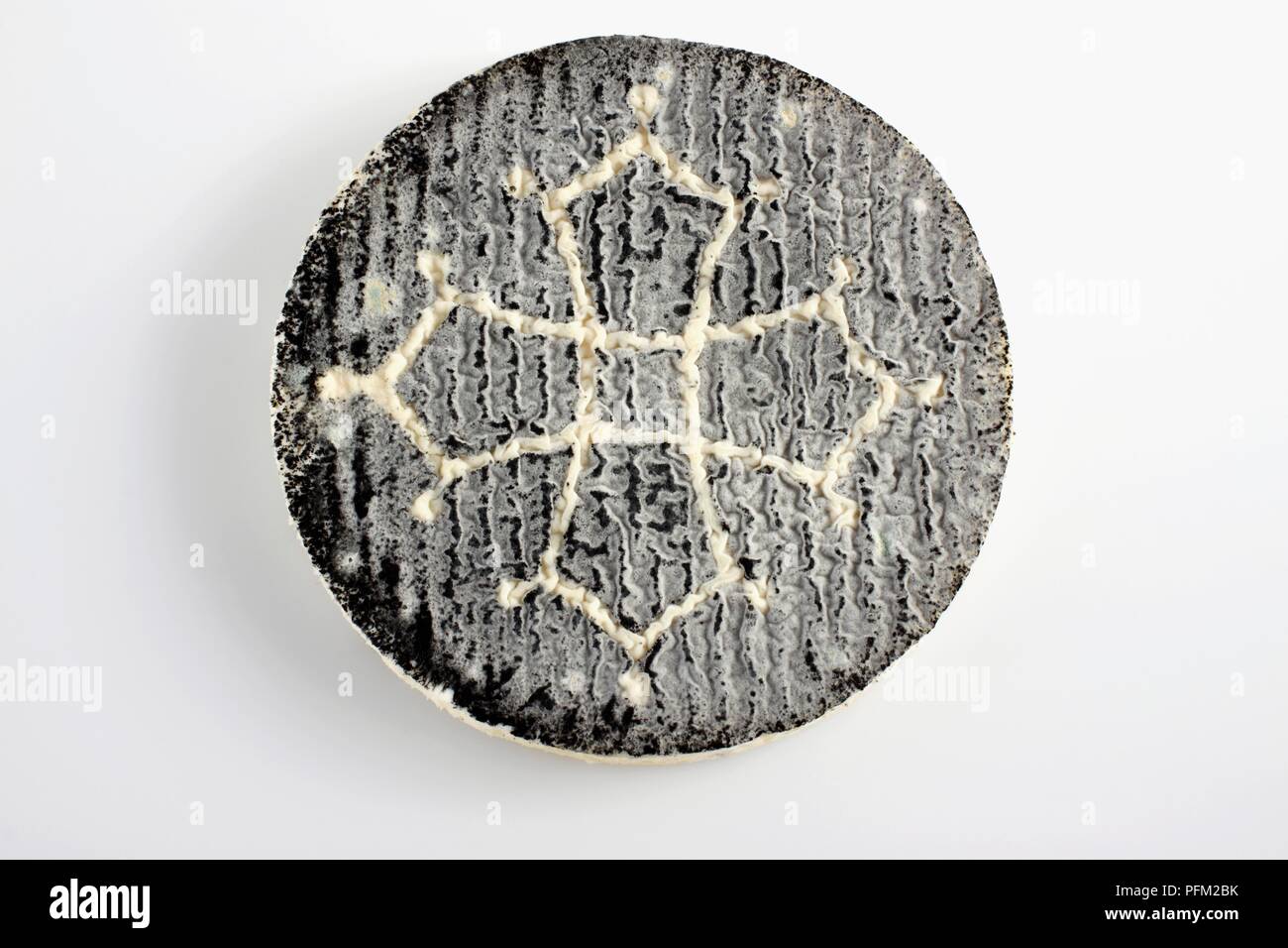 Cathare fermier, ash-coated goat's cheese showing Cross of Languedoc or ...
