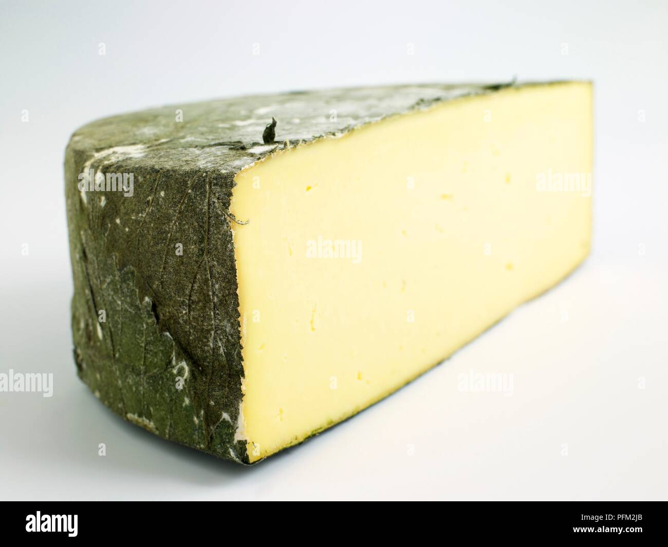 Slice of Cornish Yarg cow's milk cheese wrapped in vine leaves Stock ...