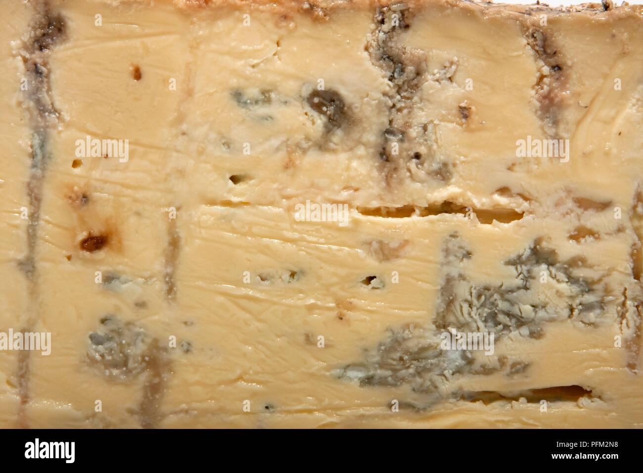 Gippsland Blue cow's milk cheese from Australia Stock Photo - Alamy