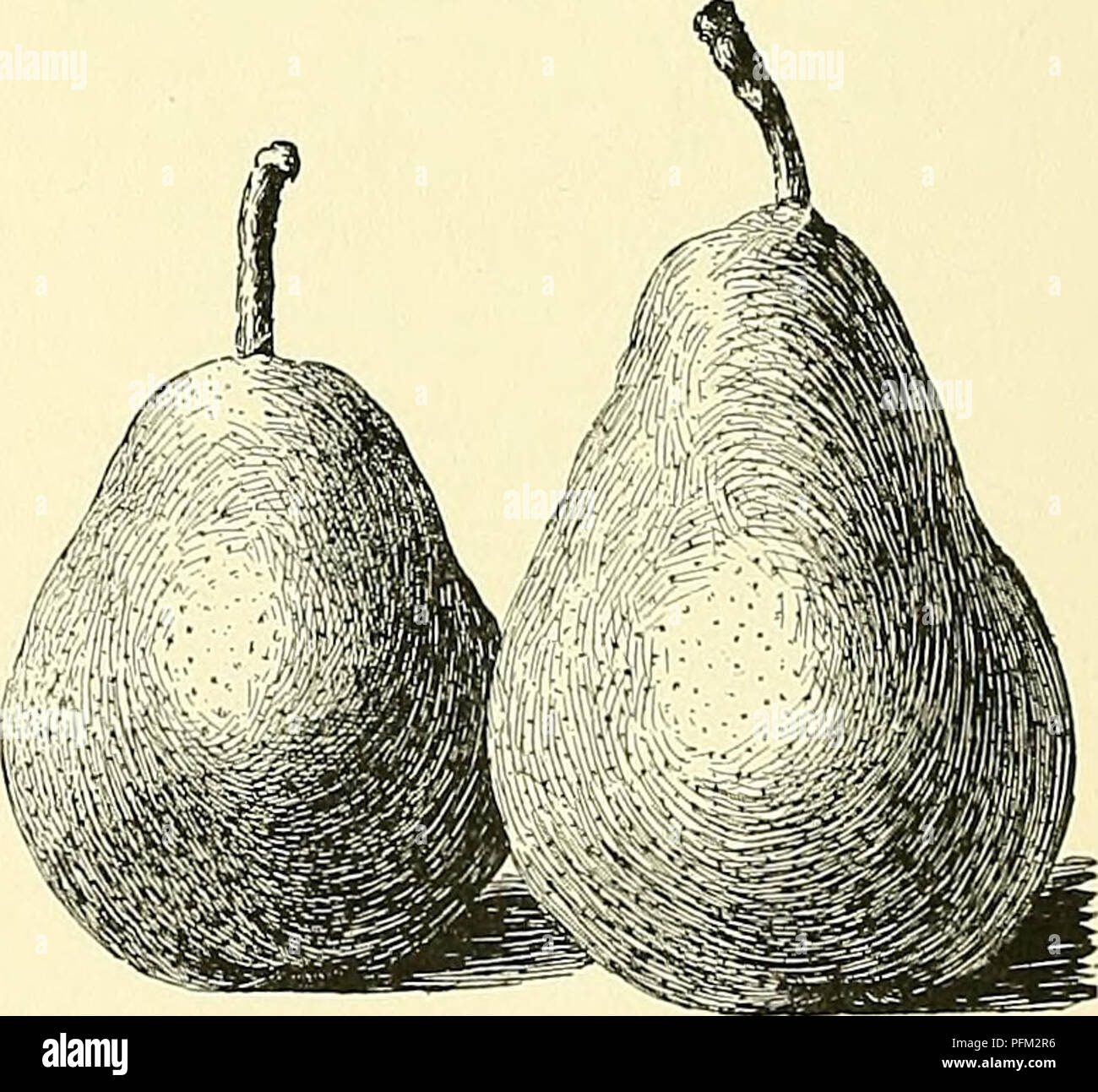 This entry provides advice and descriptions for growing various ...