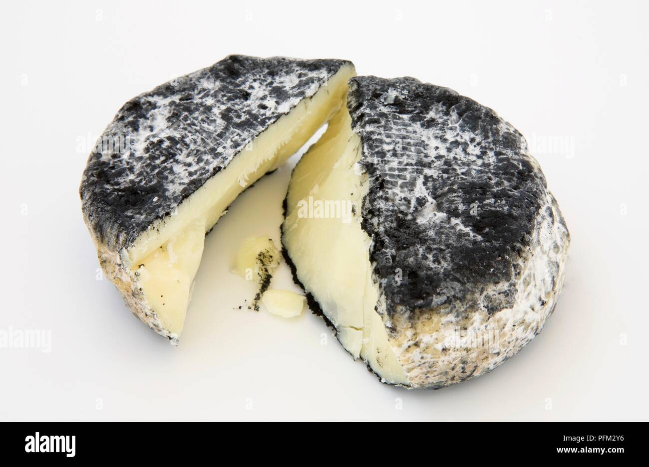 American Ash High Resolution Stock Photography and Images - Alamy