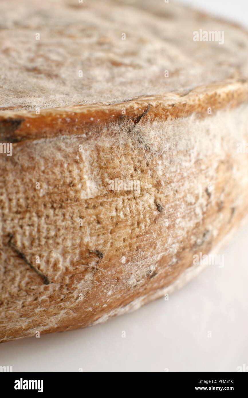French saint nectaire cows milk cheese hi-res stock photography and ...