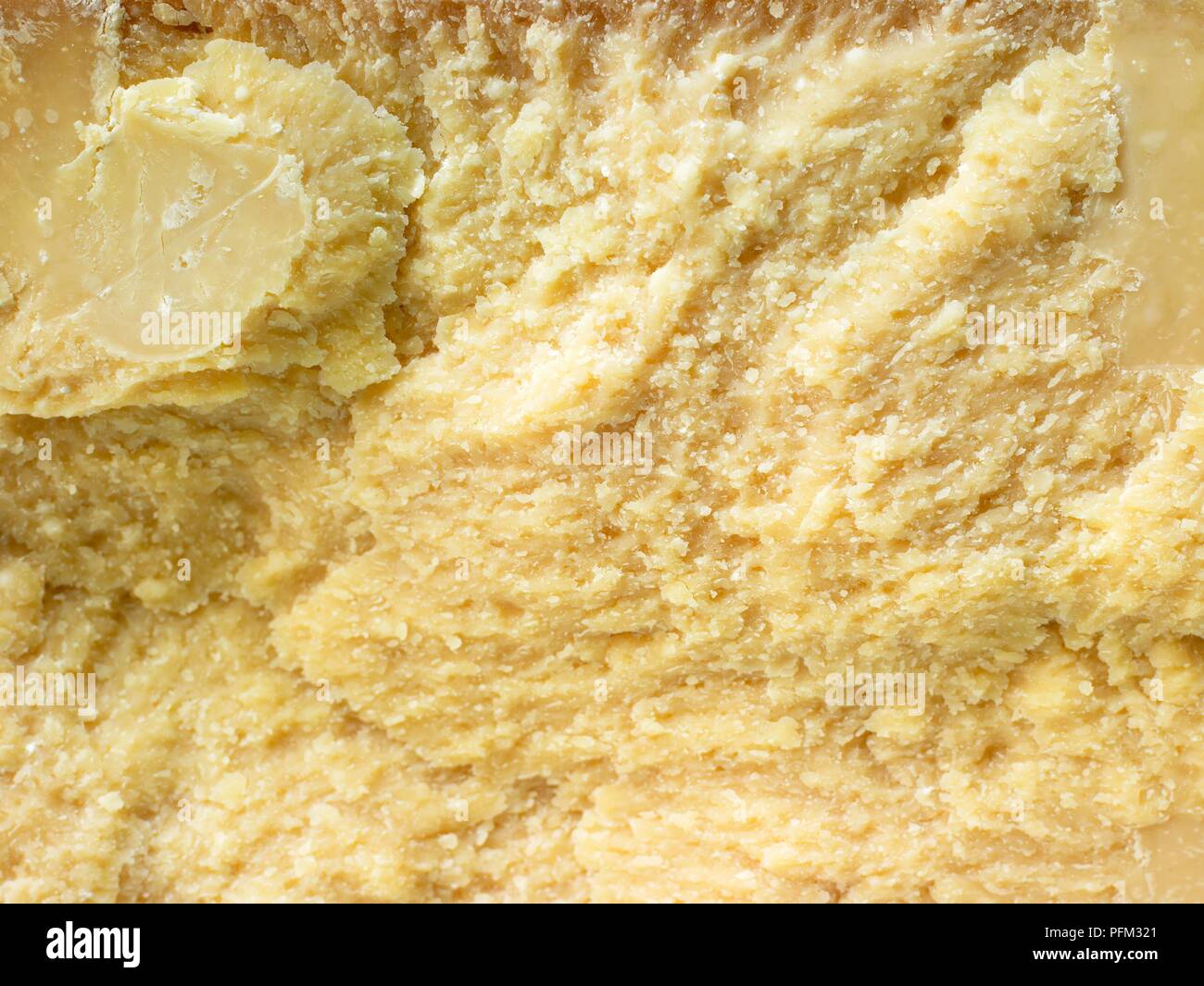 Italian Parmigiano-Reggiano cow's milk cheese, close-up Stock Photo - Alamy