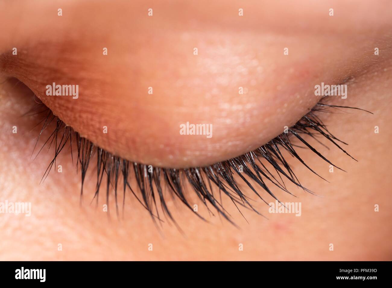 Closed eye of young woman showing eyelid and brown eyelashes Stock ...