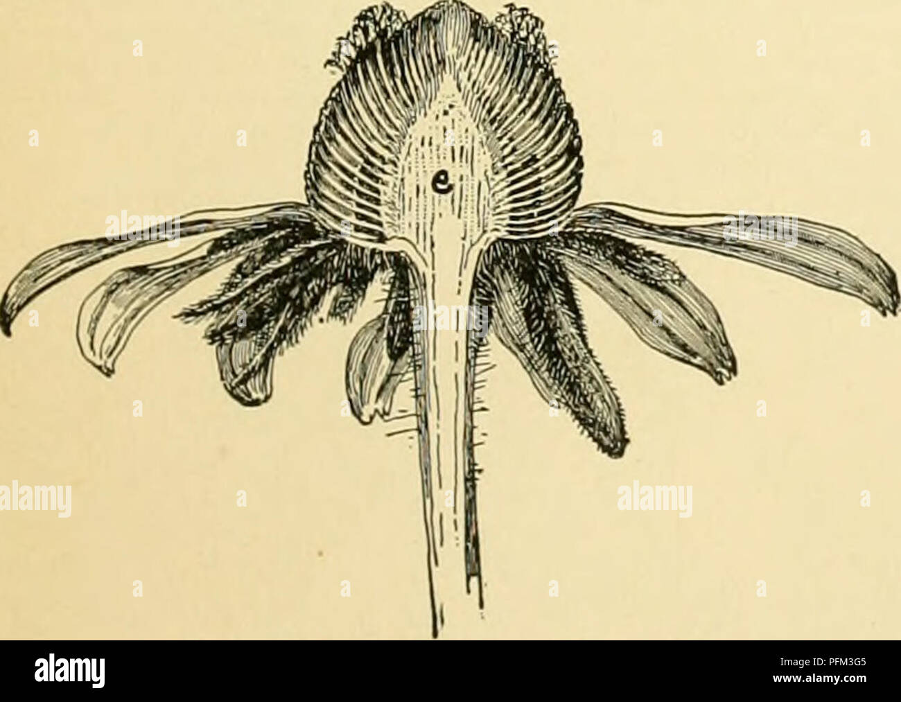 Bearing dome hi-res stock photography and images - Alamy