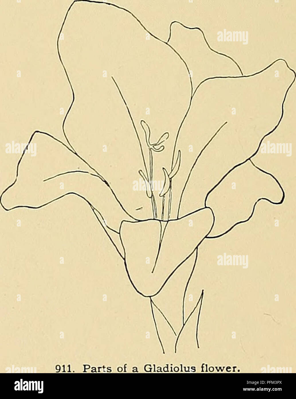 Demulcent hi-res stock photography and images - Alamy