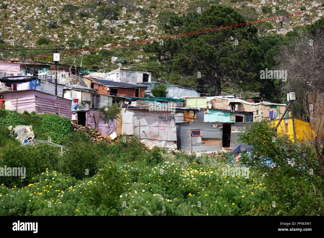 South Africa, Cape Town, Hout Bay Valley, shacks at the Imizamo Yethu ...