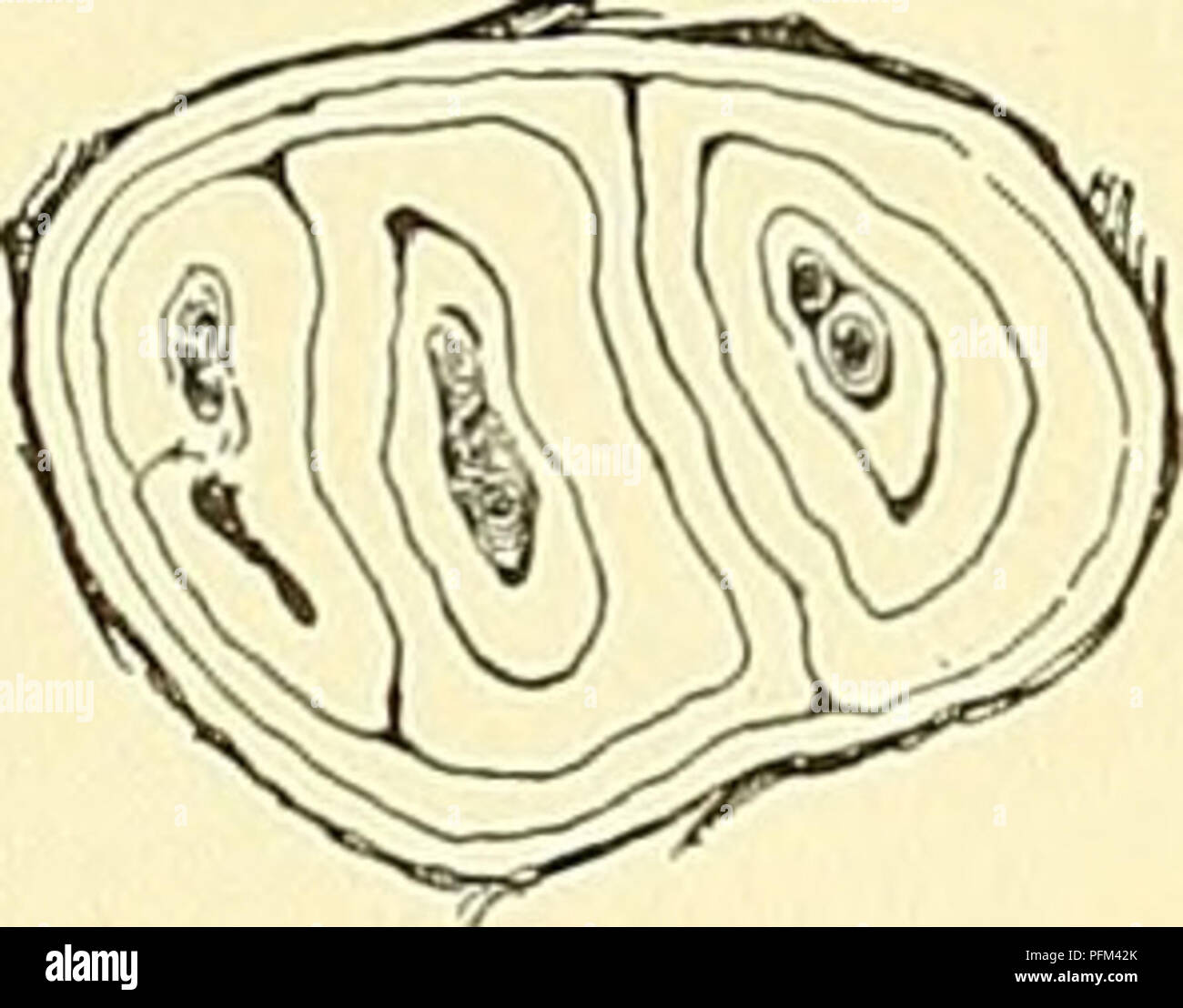 Cyclopedia means hi-res stock photography and images - Alamy