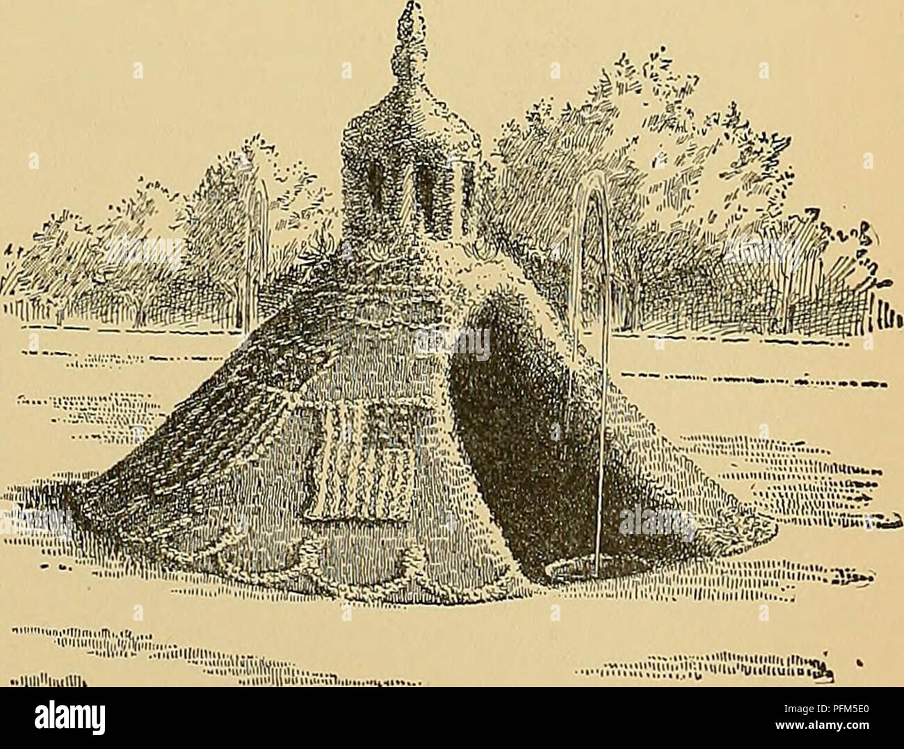 This cyclopedia provides detailed suggestions for the cultivation of a ...