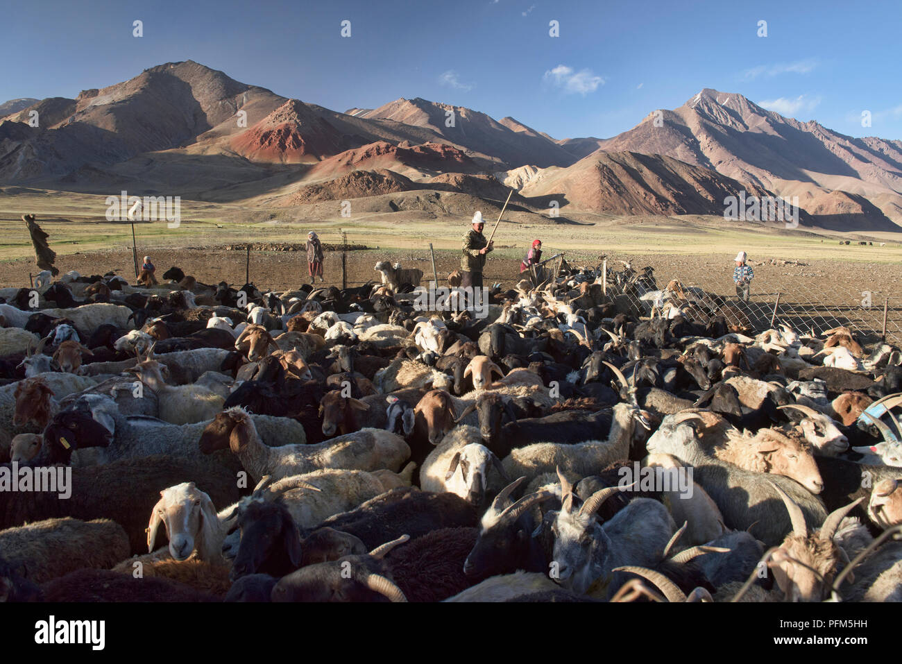 Nomadic herding hi-res stock photography and images - Alamy