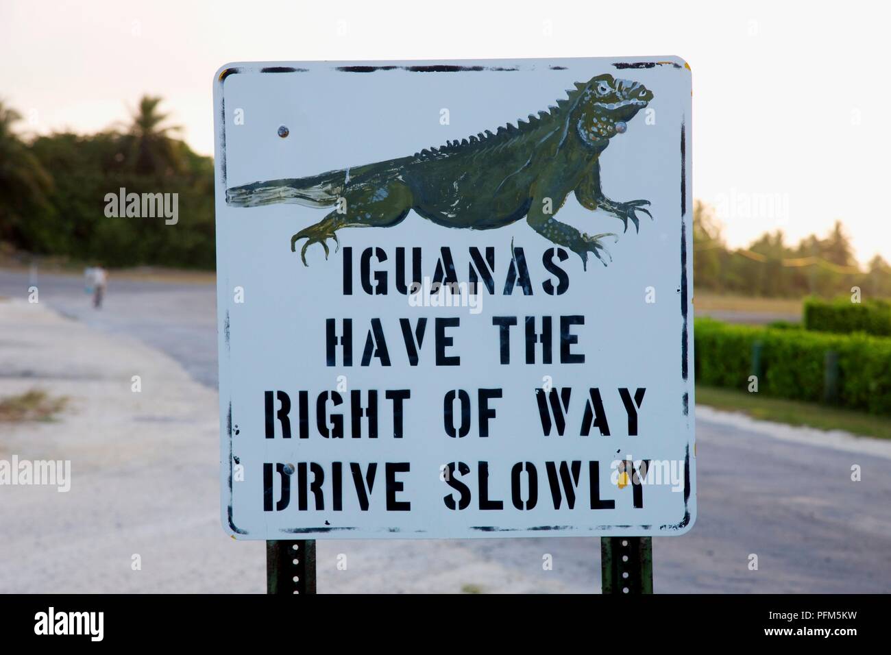 Cayman Islands, Little Cayman, 'Iguana right of way' sign Stock Photo ...