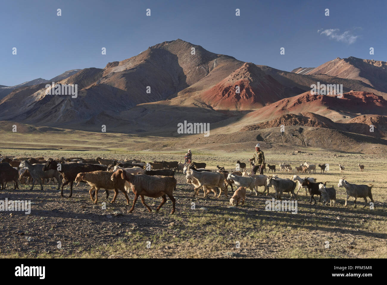 Kyrgyz nomads pshart valley tajikistan hi-res stock photography and ...