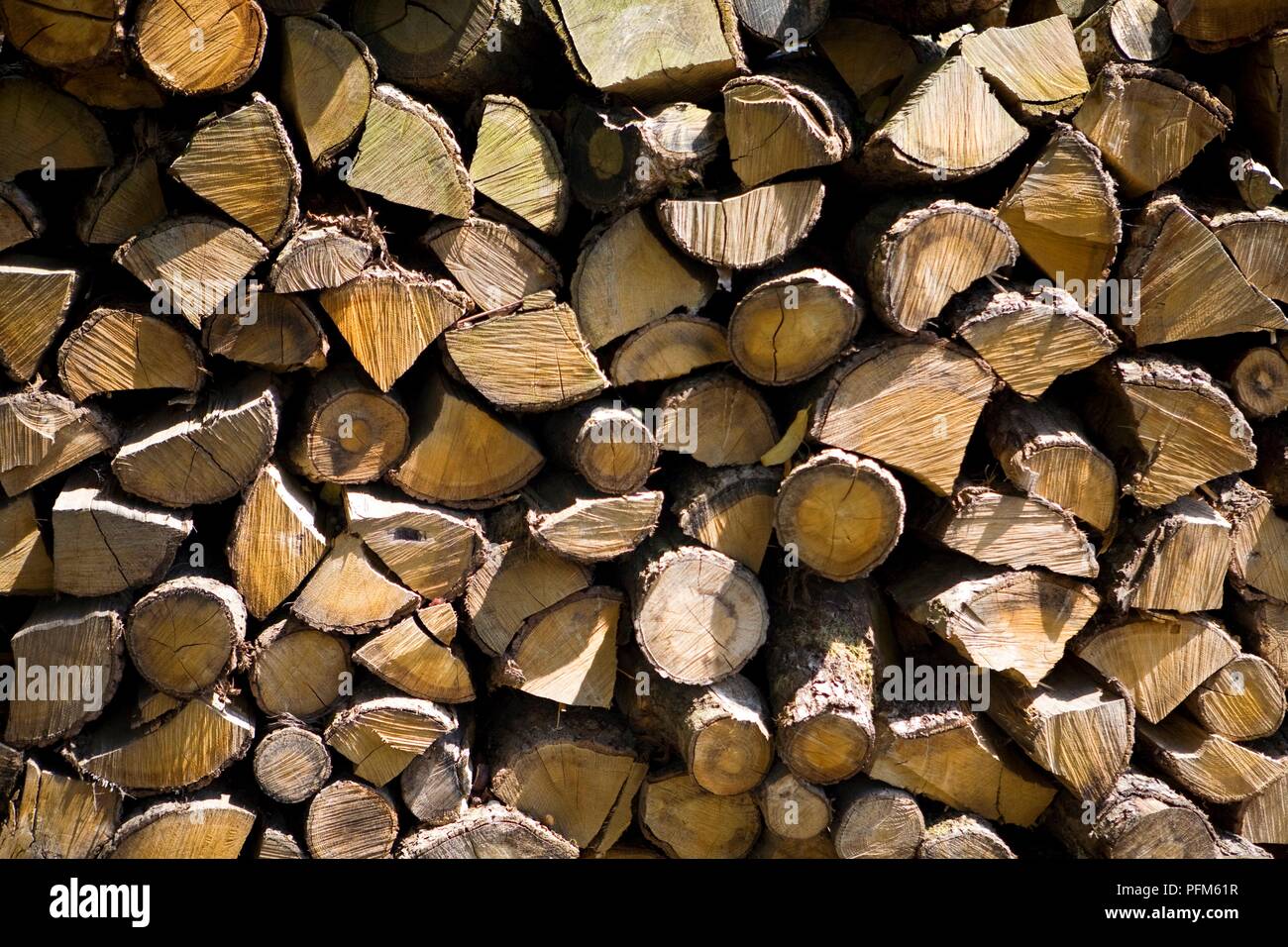 Stack of logs Stock Photo - Alamy