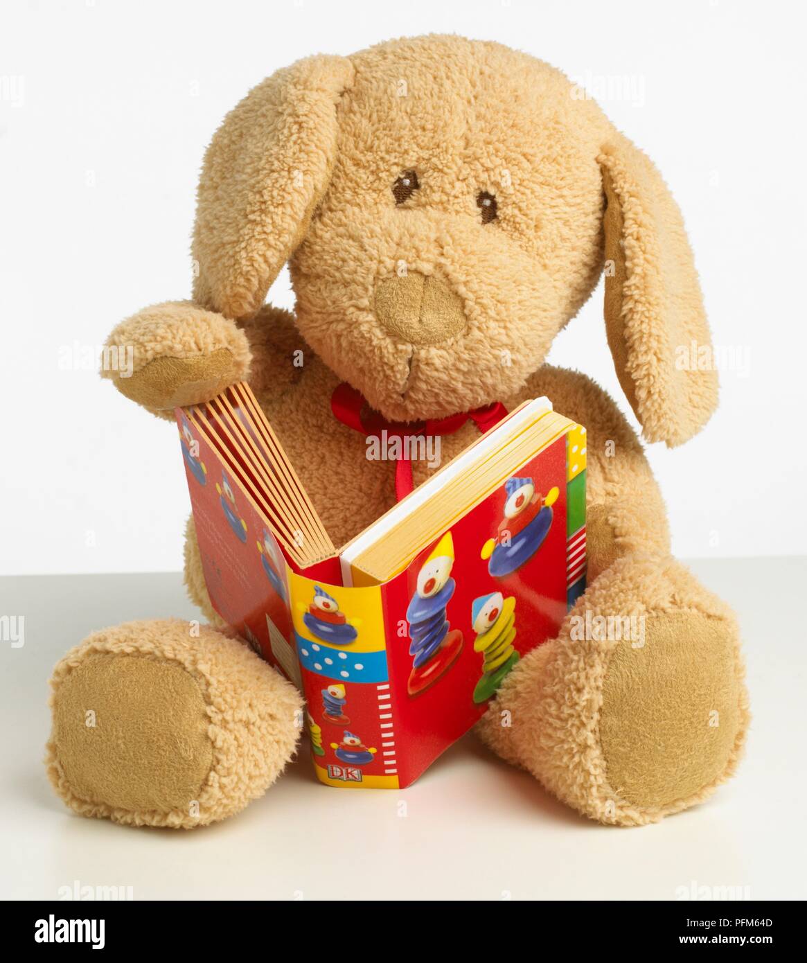 Soft toy dog reading a book Stock Photo - Alamy