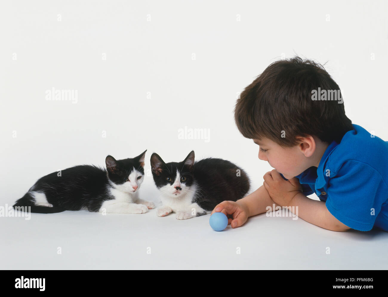 Boys with cats hi-res stock photography and images - Alamy