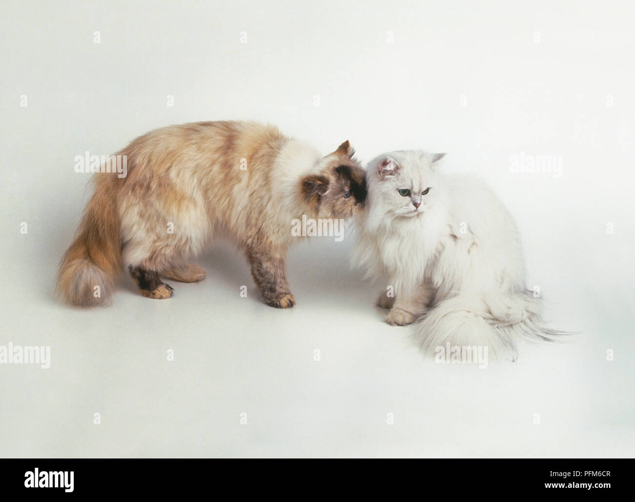 Gently nudging hi-res stock photography and images - Alamy