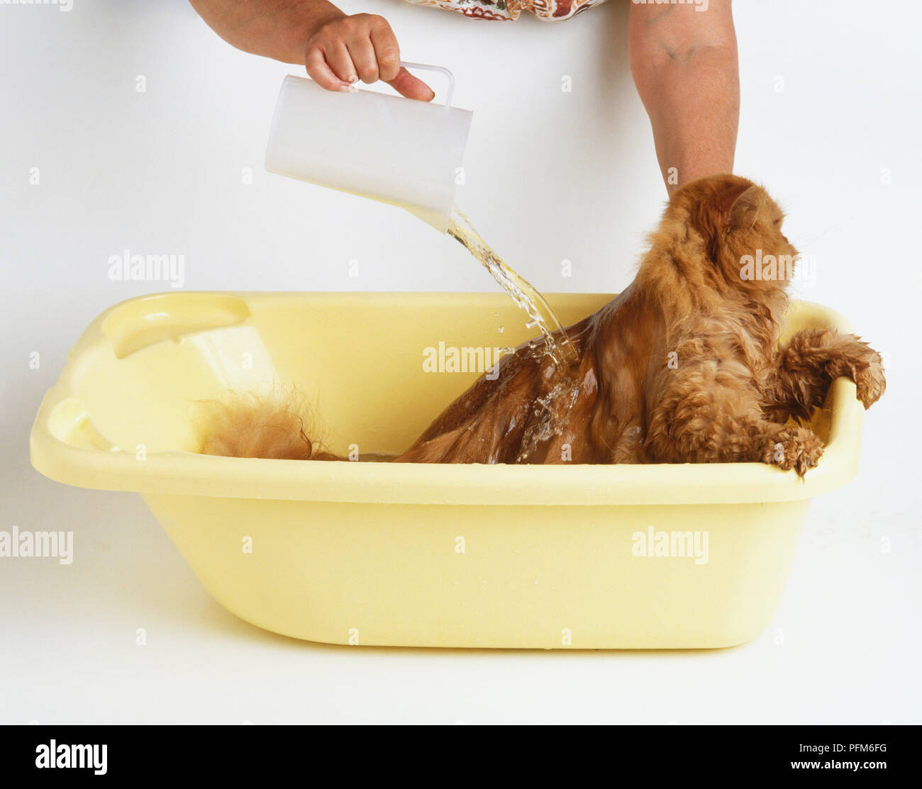 Pouring water from jug two hi-res stock photography and images - Alamy