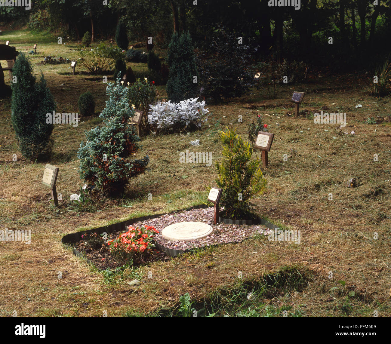 Pets cemetery hi-res stock photography and images - Alamy