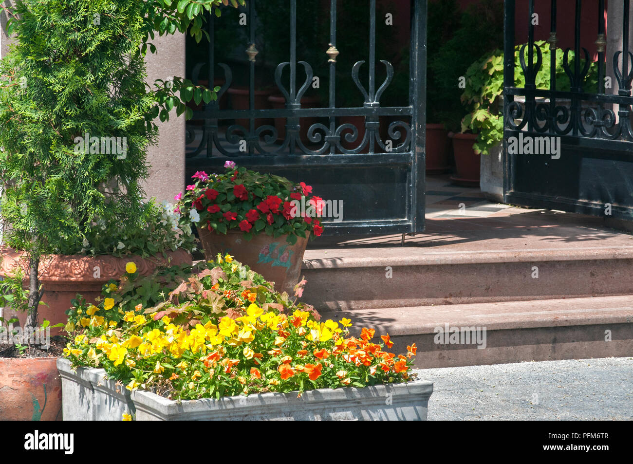 Old iron garden gate plants hi-res stock photography and images - Alamy