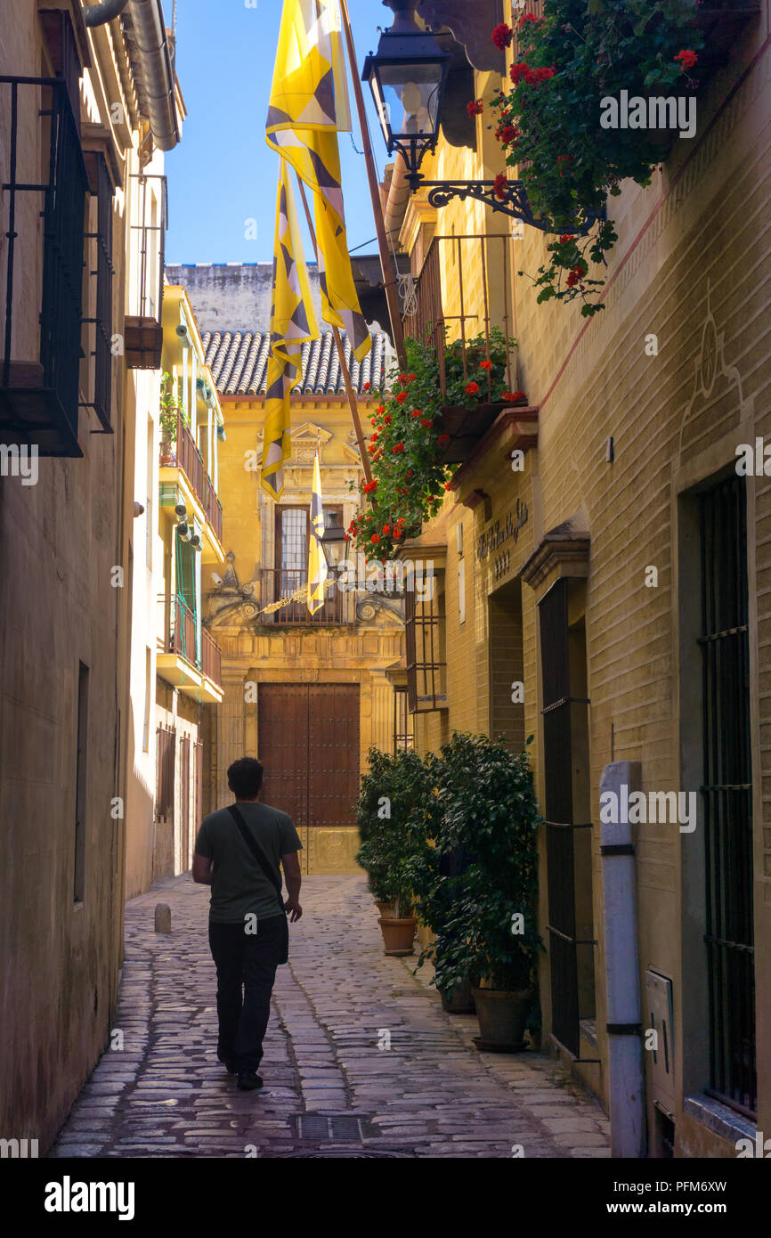 Passage with old yellow buildings in Seville, Spain Stock Photo - Alamy