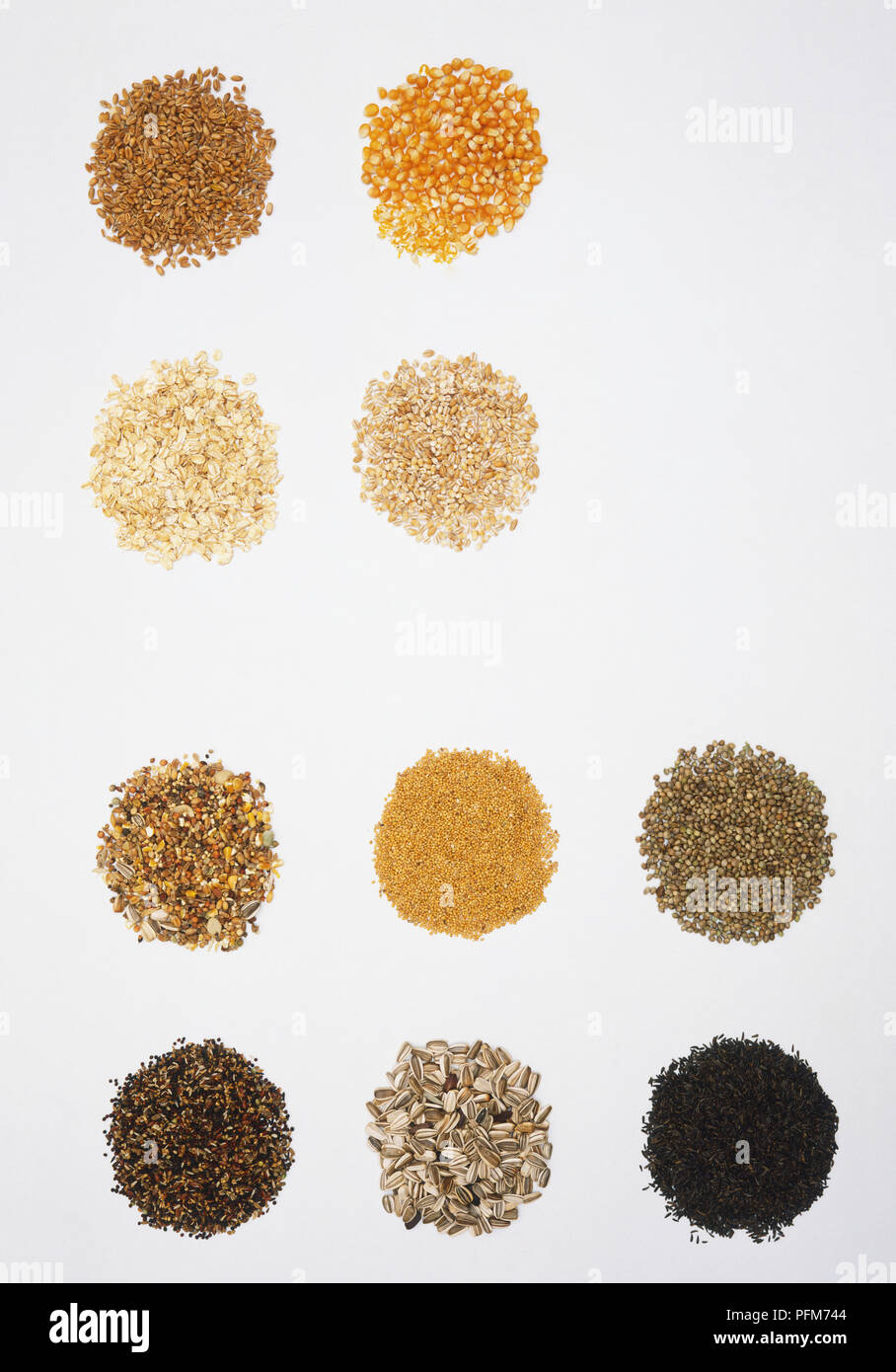 Selection of bird seeds Stock Photo - Alamy