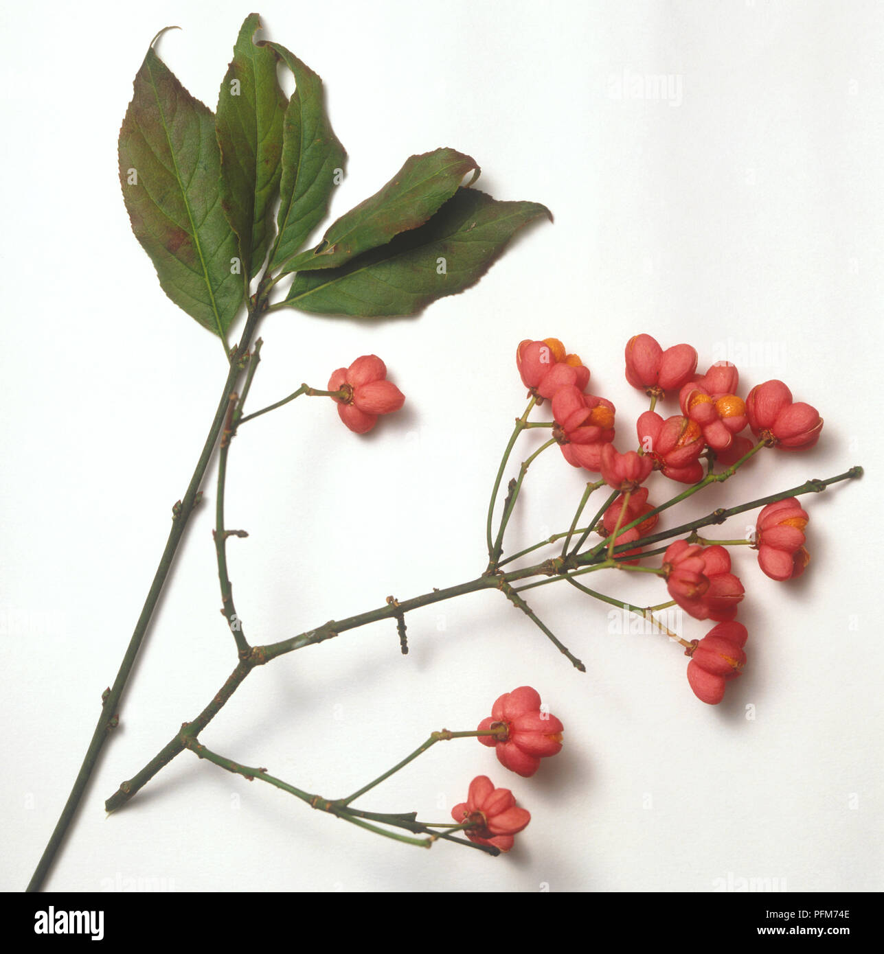 Large spindle hi-res stock photography and images - Alamy