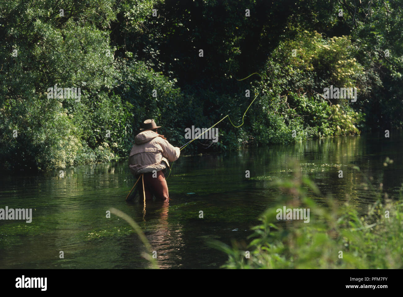 Flyfisher standing knee-deep in river, casting the line Stock Photo - Alamy