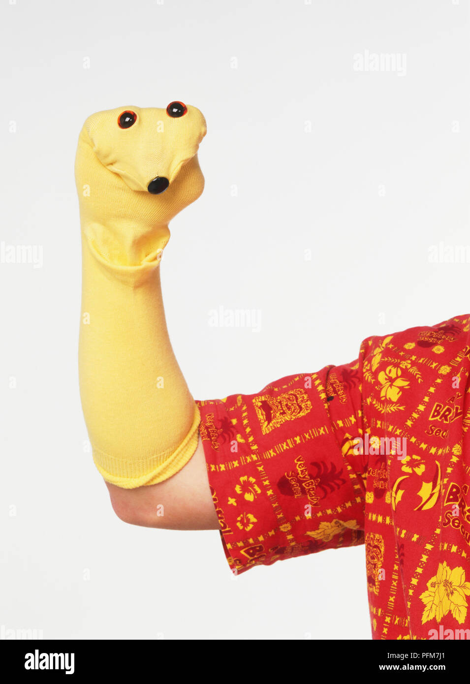 Sock Puppet High Resolution Stock Photography and Images - Alamy