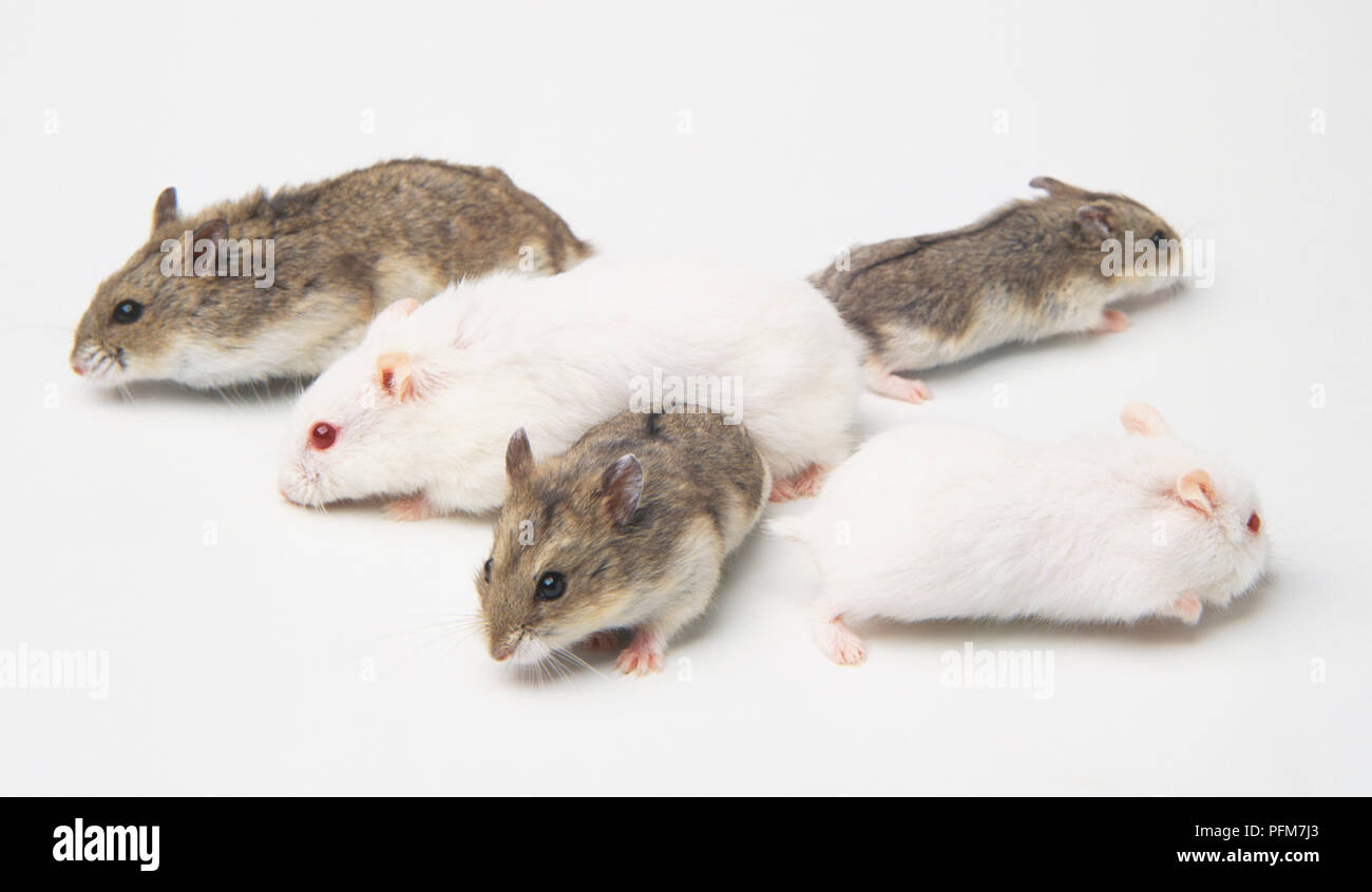 Three directions hi-res stock photography and images - Alamy