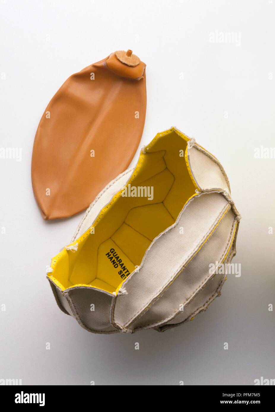 Parts Of A Football at Anthony Pippen blog