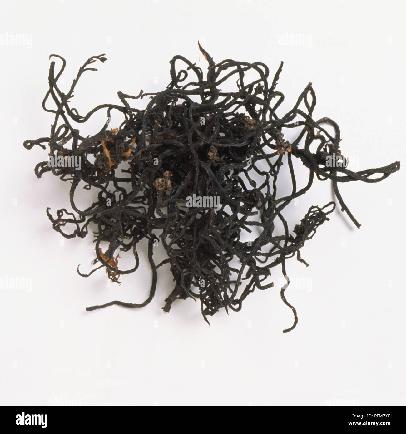 Fusiforme High Resolution Stock Photography and Images - Alamy