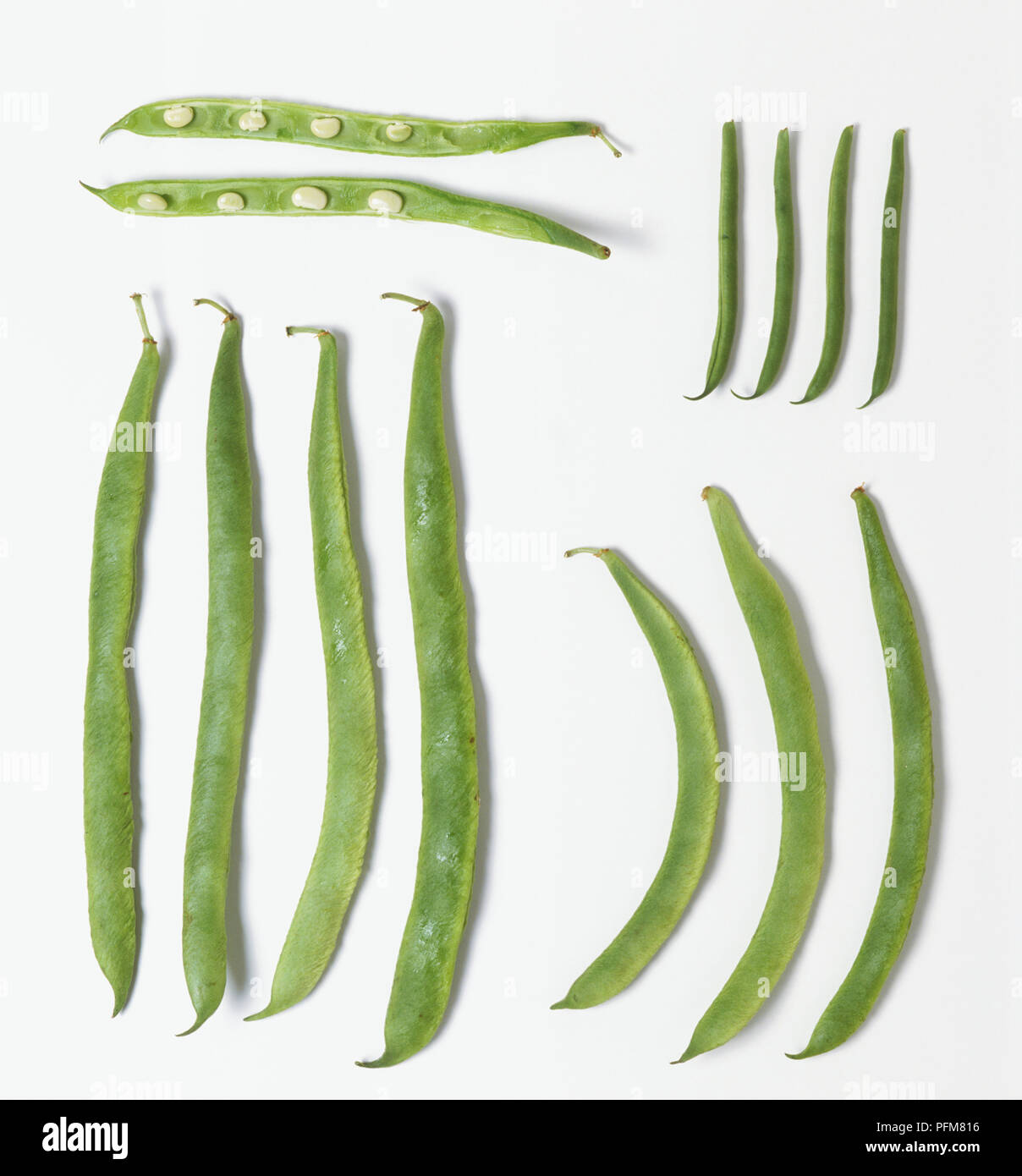 Runner beans seed pod hi-res stock photography and images - Alamy