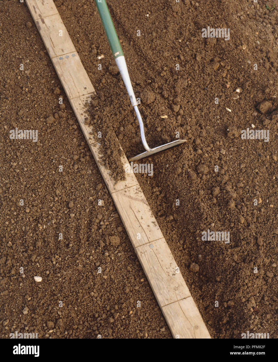 Measuring plants hi-res stock photography and images - Alamy