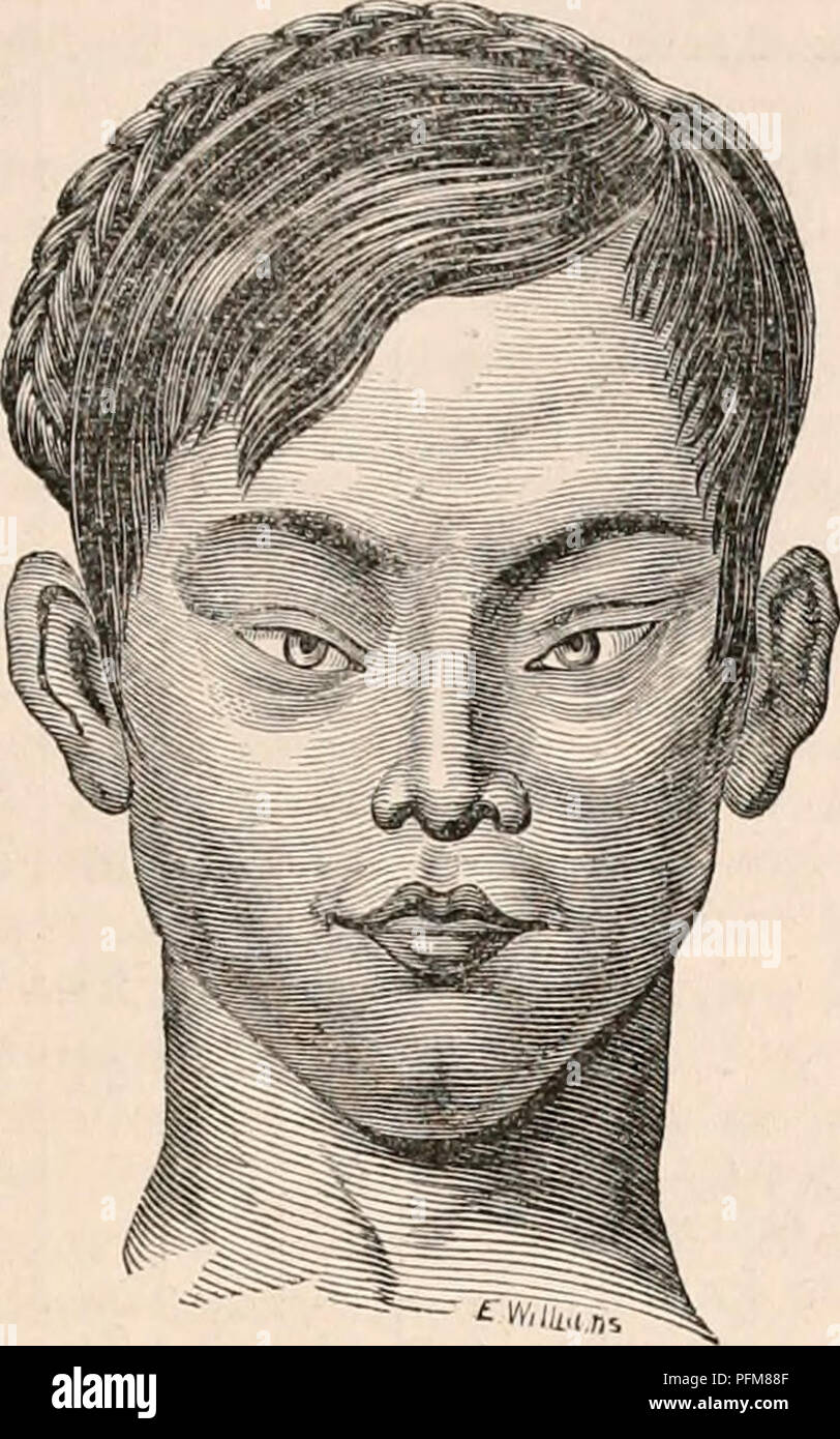 Face orbits hi-res stock photography and images - Alamy